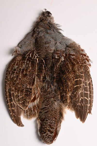 Select Hungarian Partridge Skin, Natural – Blue Wing Olive
