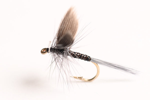 Blue Quill Dry Fly, 6-Pack – Blue Wing Olive