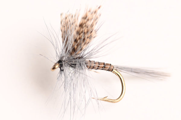 Quill Gordon Dry Fly, 6-Pack – Blue Wing Olive