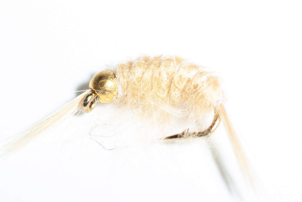 Bead-Head Scud Wet Fly, 6-Pack – Blue Wing Olive