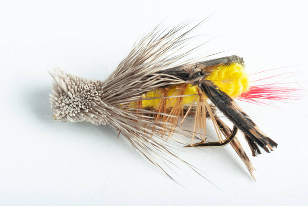 Dave's Hopper Dry Fly, 6-Pack – Blue Wing Olive
