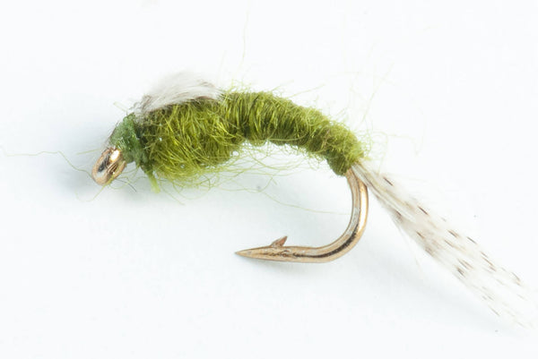 WD-40 Wet Fly, 6-Pack - Olive – Blue Wing Olive